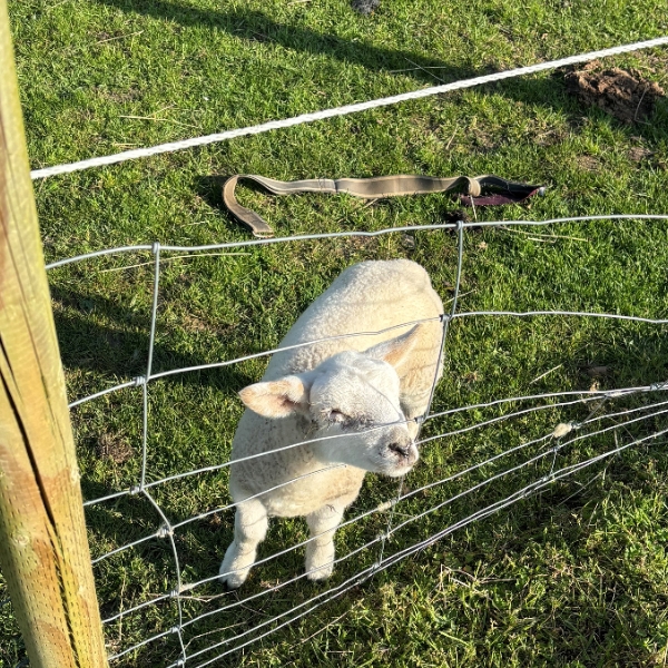 Kier Foundation - Josh Cormack